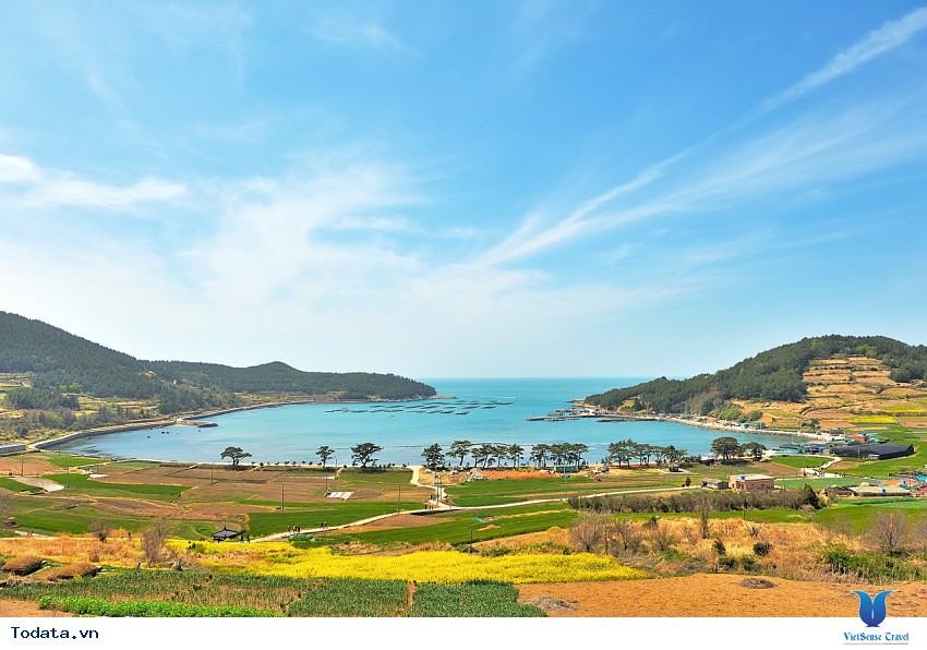 Đảo Cheongsando- Thiên Đường Sống Chậm